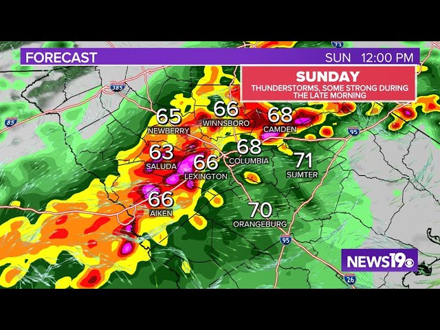 South Carolina Weather This Week Beaufort, SC Weather: Cold Shelters