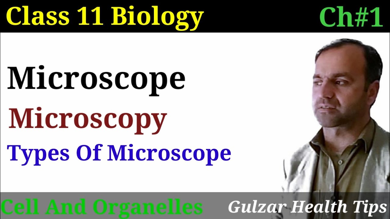 Microscopy | Microscope | Types of microscope, magnification ...