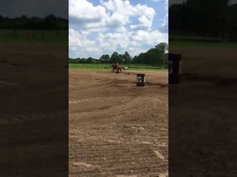 Colt and Pixie 1st in 4d - YouTube