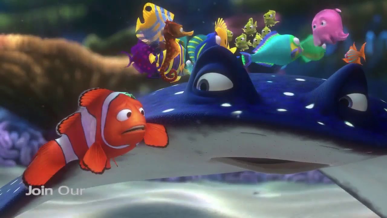 Nemo Going To School First Time - YouTube