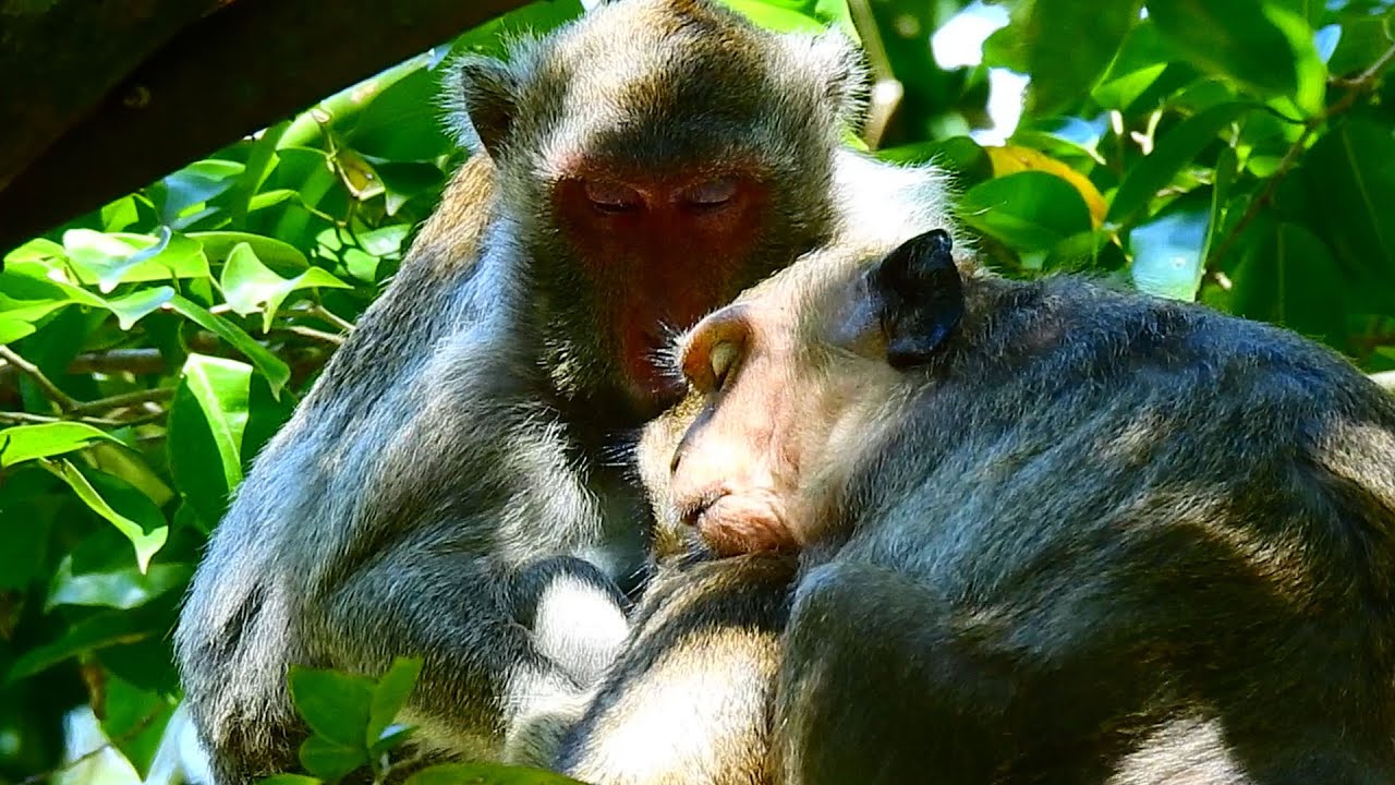 Awesome! Jinx lie her mouth into Jane milk she to prefers to get Jane's ...