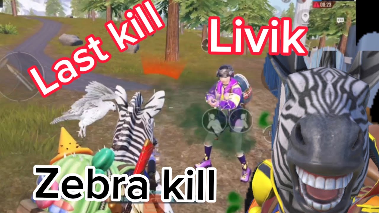 CRAZY ZEBRA KILLS( VOICE REVEAL)🥶🥶🥶🇨🇳 - YouTube