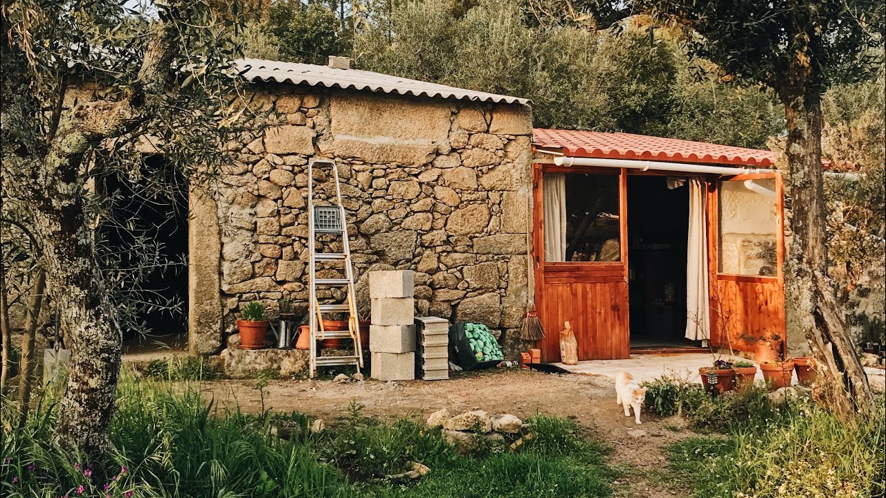 We’re getting ready for a hot summer 🥵🌞 Off Grid Cottage in Central ...