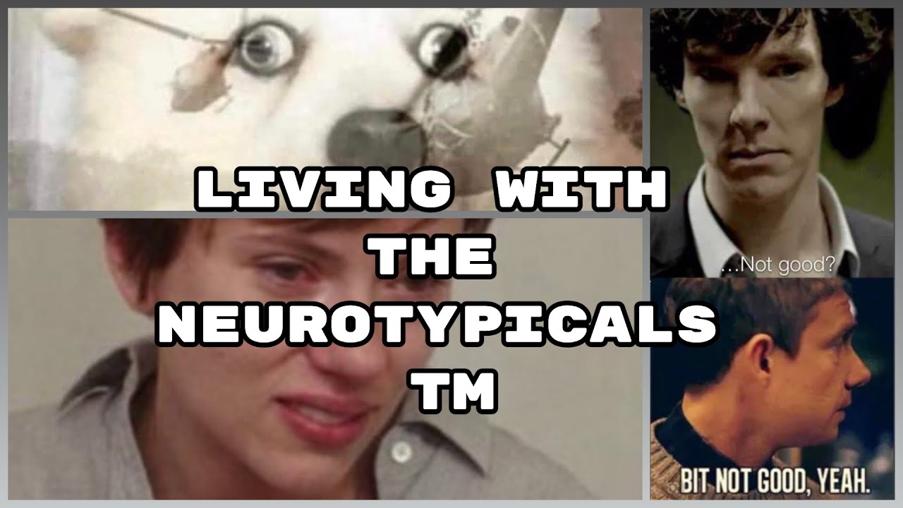 no focus only hyper fixation - neurodivergent memes - YouTube