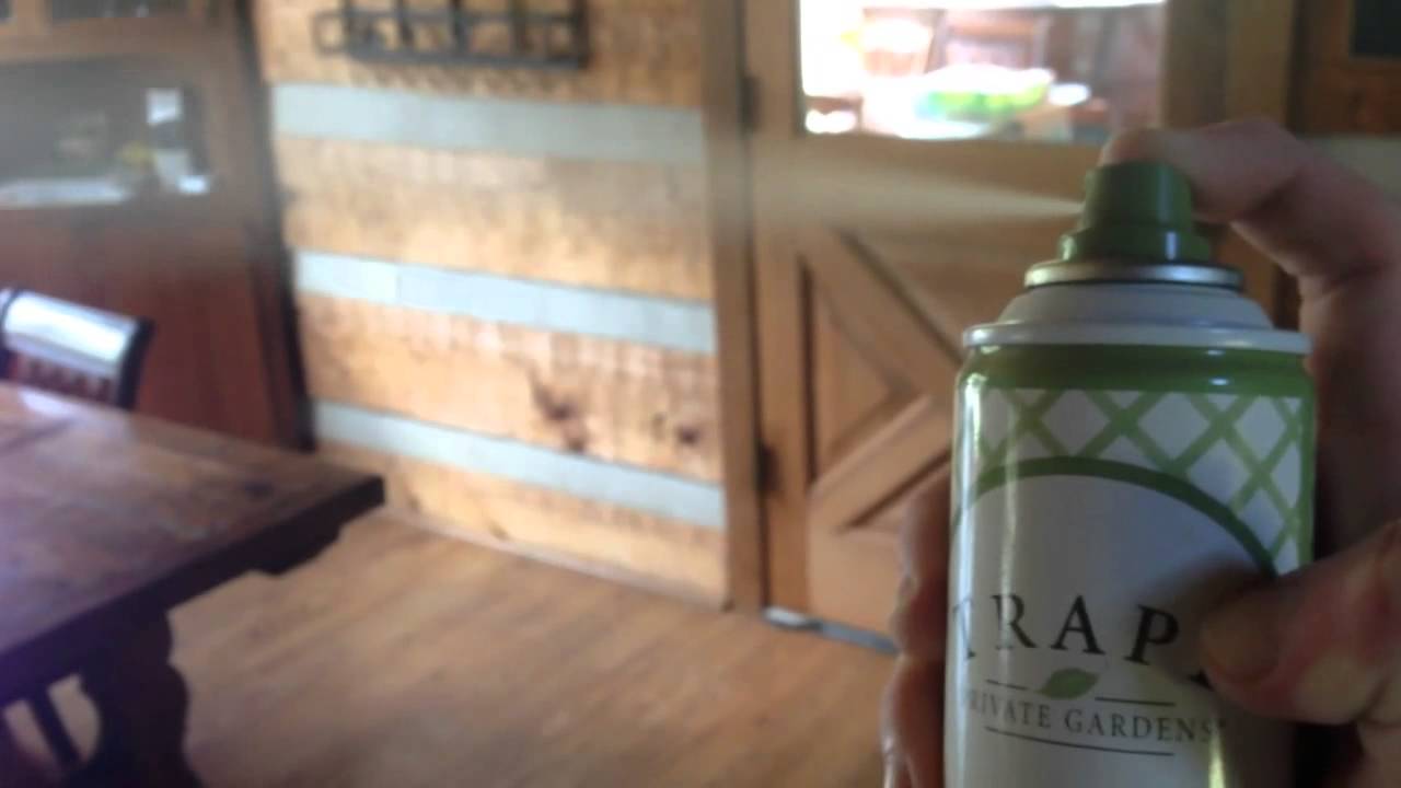 Trap Spray - YouTube