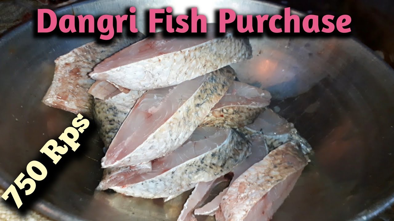 Fish Video | Dangri Fish Purchase 750 Per Kilo | Karachi Fishery Market ...