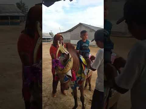 D Ano Lagi Bermain Di Pantai Cibendo / Tanjung Baru  #shortfeed #shorts #viral