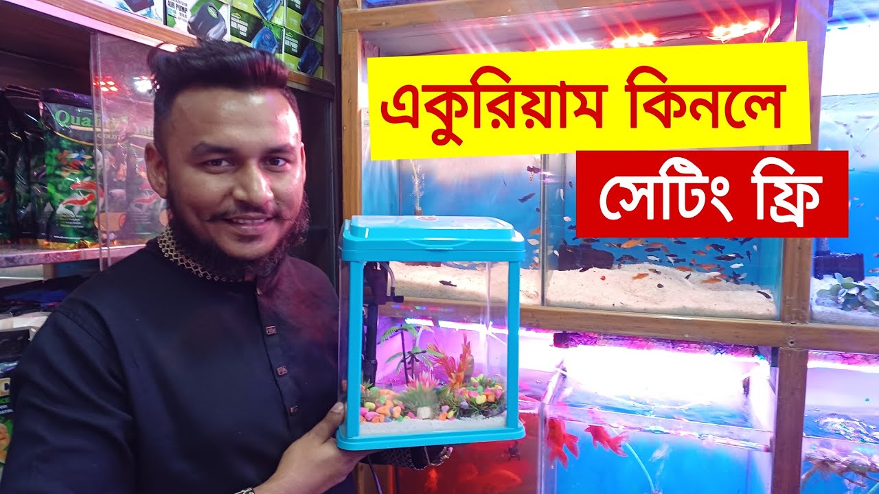 aquarium Fish Price In Bangladesh 2024 katabon market - YouTube