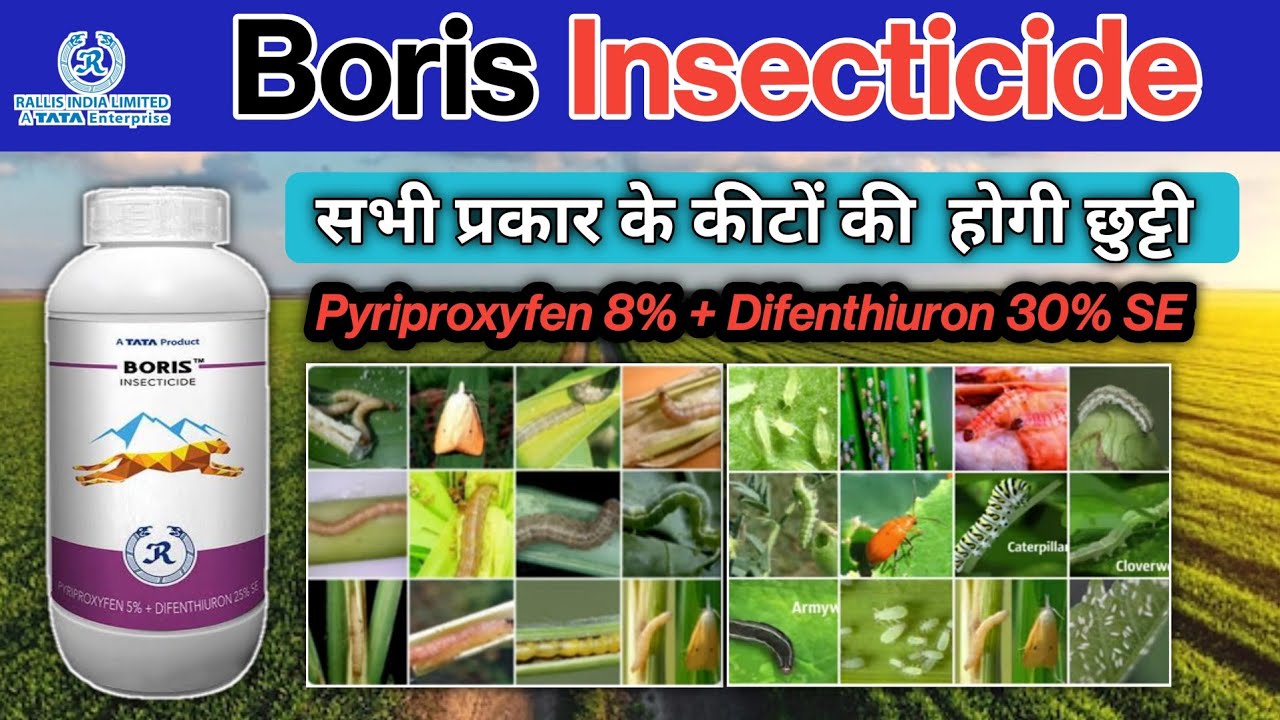 tata boris insecticide | pyriproxyfen 8% + diafenthiuron 30% | पूरी ...