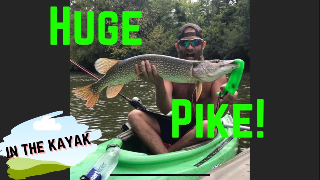 biggest pike ever in rebel outdoors history 40 inches - YouTube