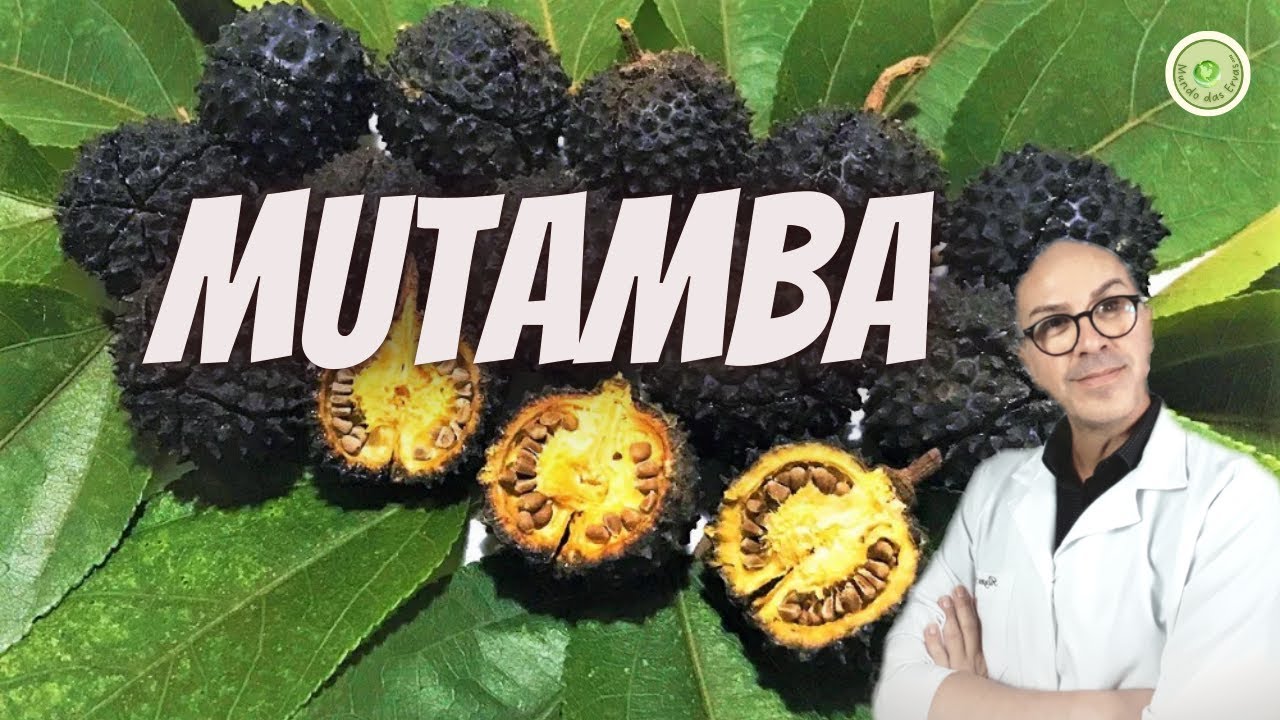 MUTAMBA, bloqueia o HIV, indicado ARTRITE REUMATÓIDE, problemas ...