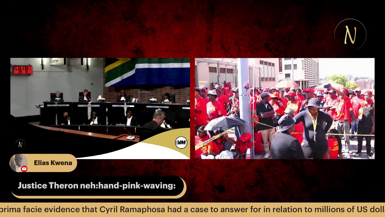 EFF PICKET TO CONSTITUTIONAL COURT FOR PHALAPHALA CASE - YouTube