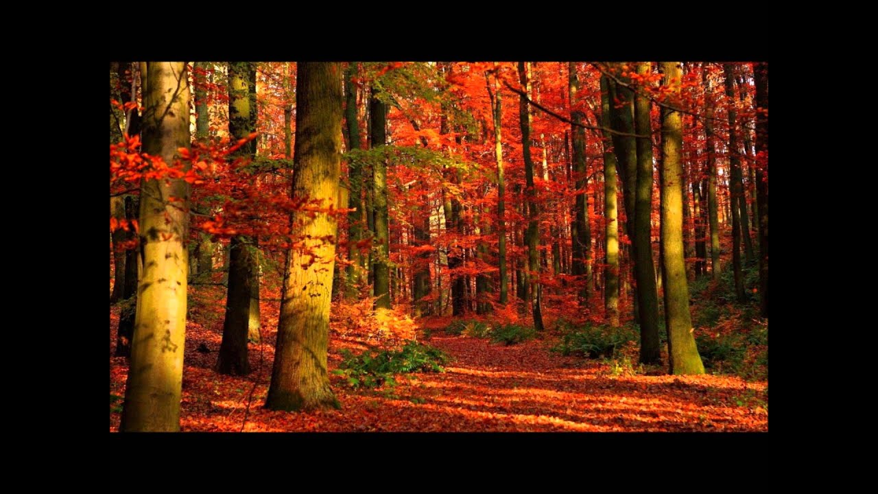 Vjeshta e Trete - YouTube