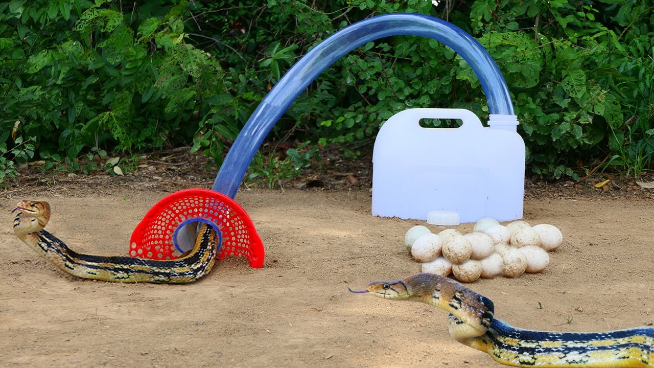 Creative Build Deep Hole Underground Trap Using Big Plastic Bottle ...