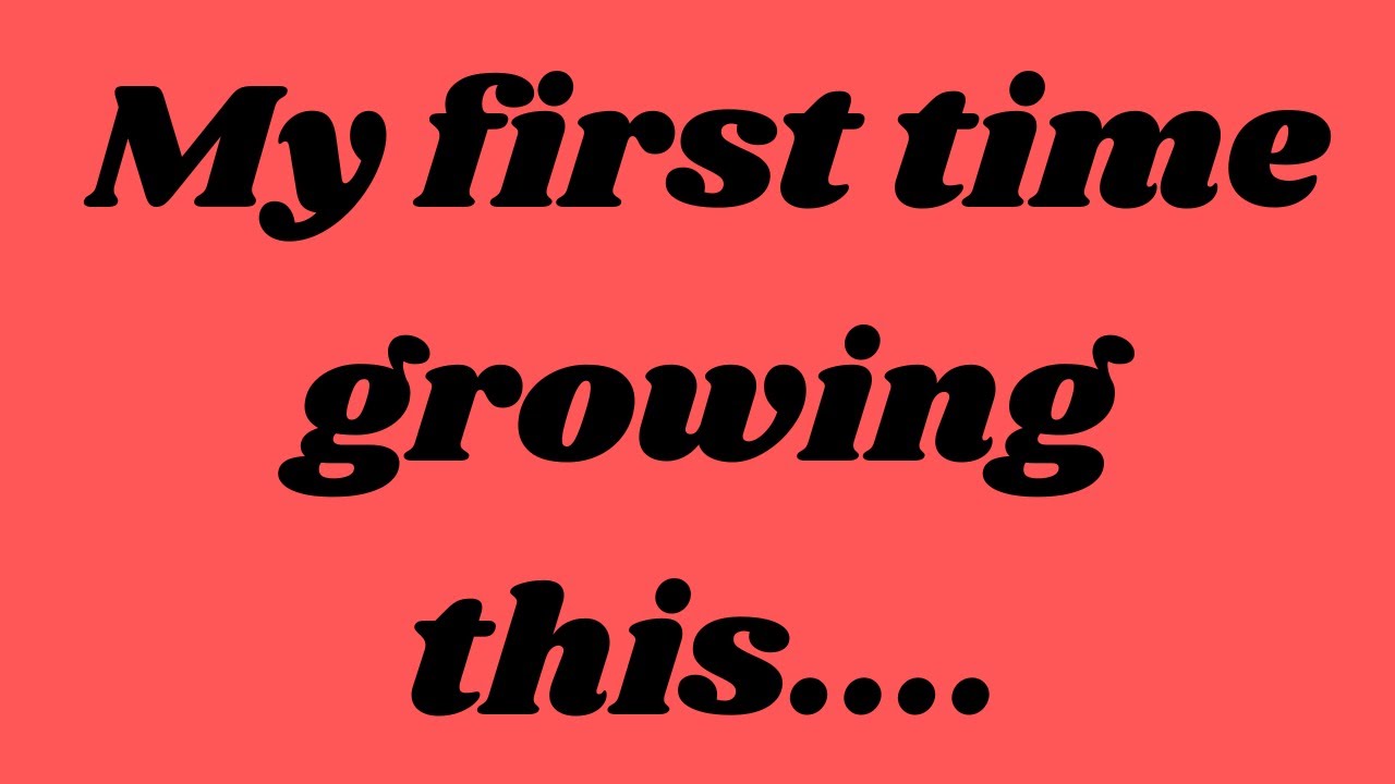 My first time growing this.... - YouTube