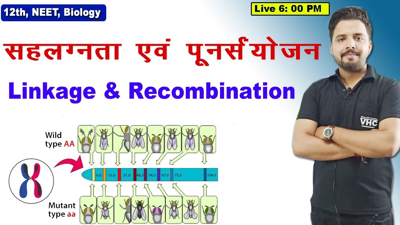 Linkage & Recombination | सहलग्नता एवं पूनर्सयोजना L- 9 | Class 12 ...