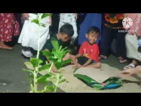 TRADISI ADAT JAWA_MANDI 7 BULANAN!!?#tradisiadatjawa - YouTube