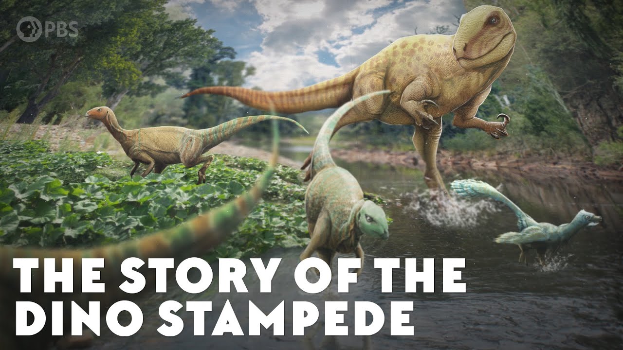 The Story of the Dino Stampede - YouTube