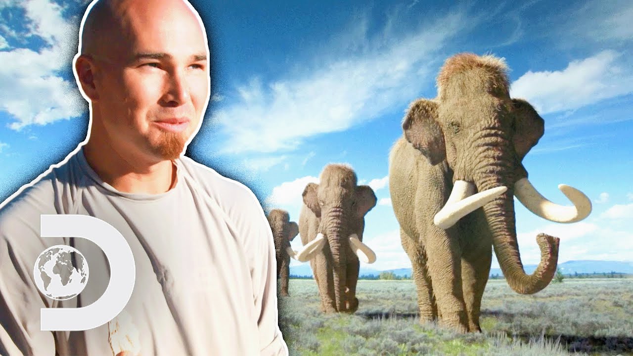 1930’s Map Helps Palaeontologist Find Mammoth Tusks | Dino Hunters ...