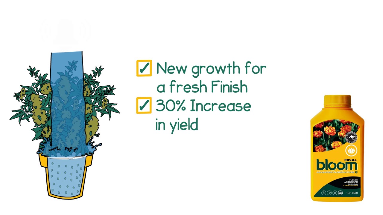 Bloom Final - Product Video - YouTube