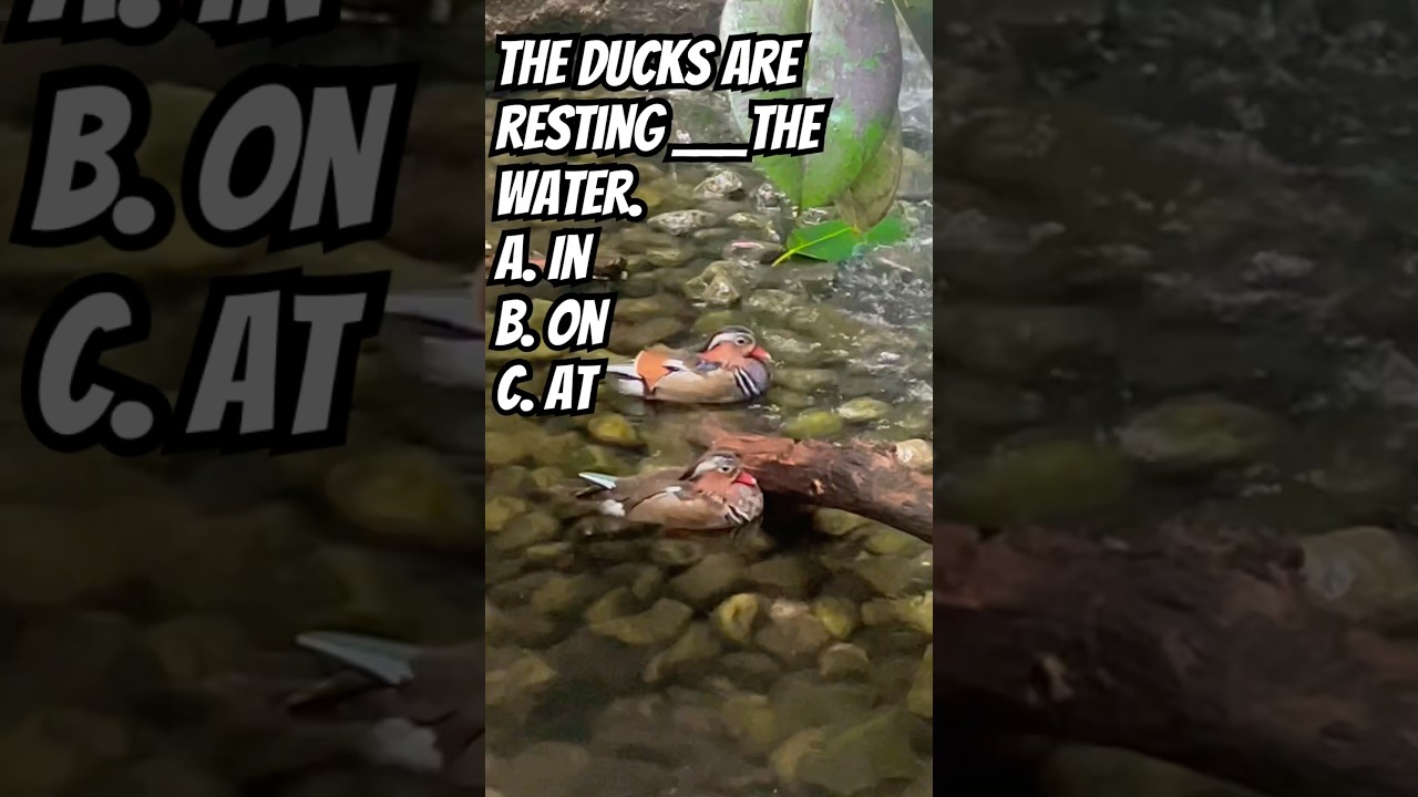 In or on #grammar #speakenglish #learnenglish #wildlife # ...