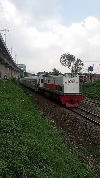 Kereta Api Melintas di Bawah Jembatan #shorts #keretaapi - YouTube