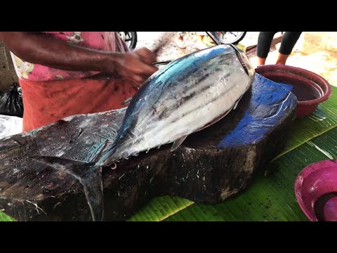 Crazy..!! Fastest Tuna Cutting, Amazing Fish Slicing Skills in Asian ...