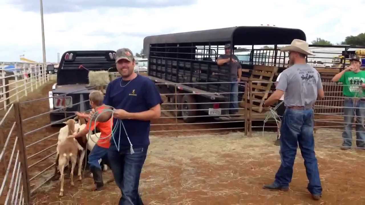 Goat roping in Pleasanton, TX - YouTube