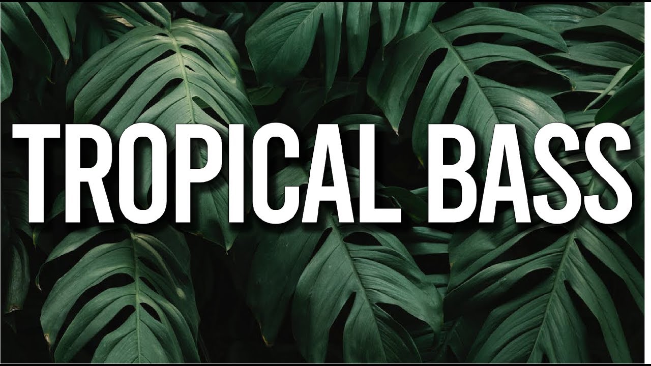 Tropical Bass Mix October #7 The Best of Tropical Bass 2019 by Ricardo ...
