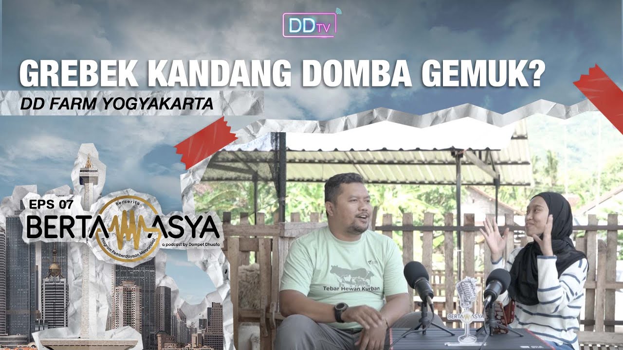 GREBEK KANDANG DOMBA DD FARM DIY, DOMBANYA GEMUK? KOK BISA?! | PODCAST ...