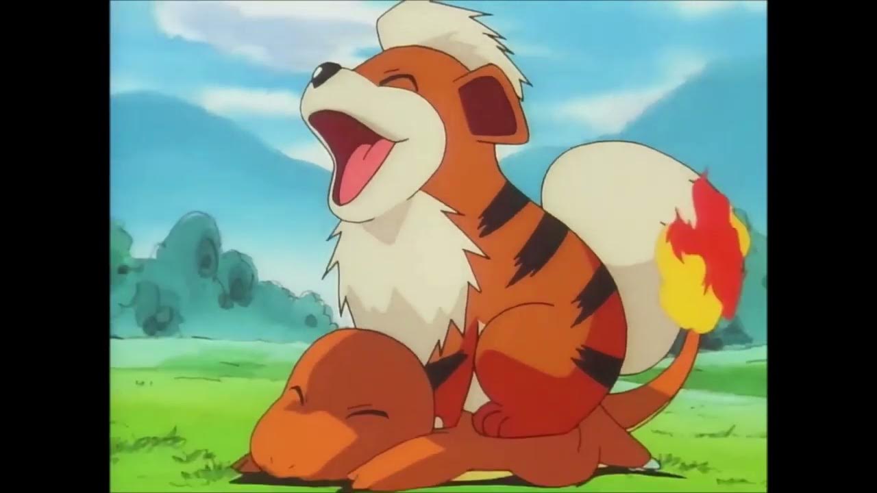 ||Charmander vs Growlithe|| - YouTube