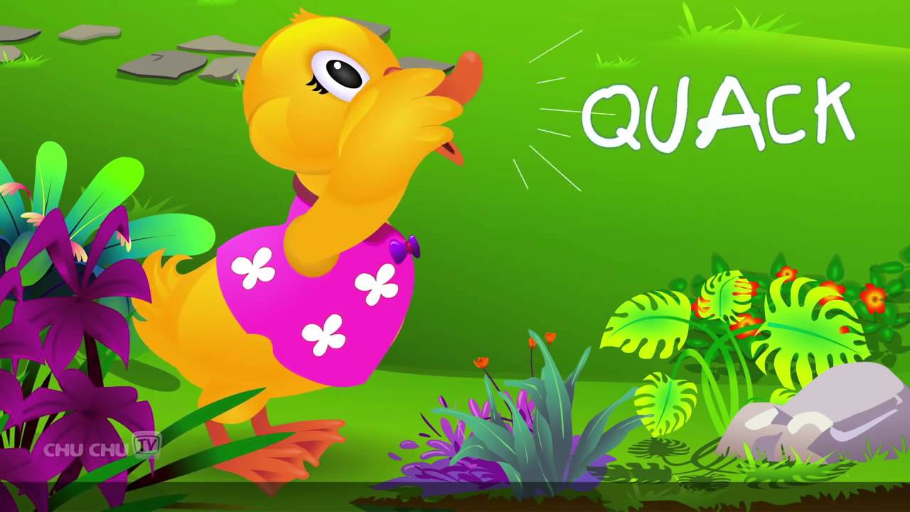 Five Little Ducks Nursery Rhyme With Lyrics Cartoon Animation Rhymes ...