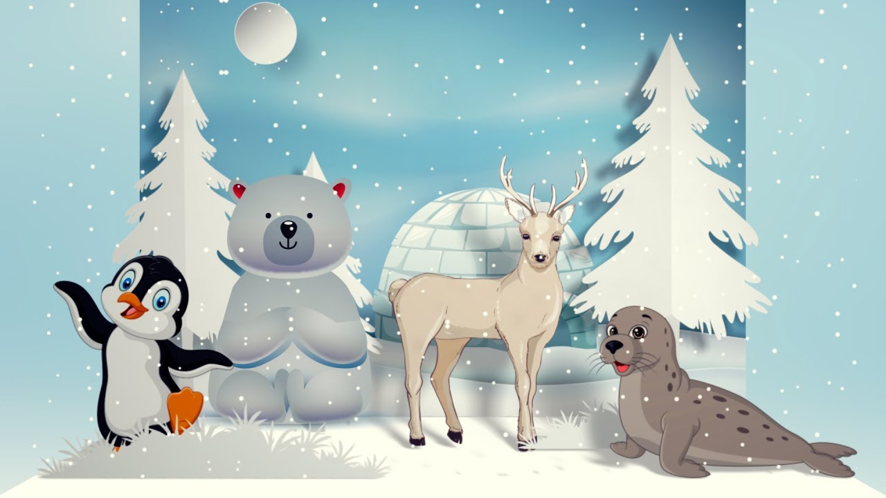 Hai, ghicește ce animal de la Poli este? #GrădinițaPiticilor - YouTube