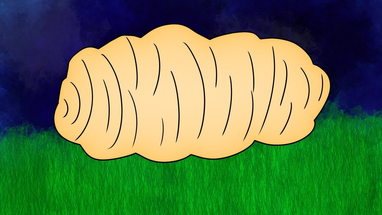 The sad caterpillar (animation) - YouTube