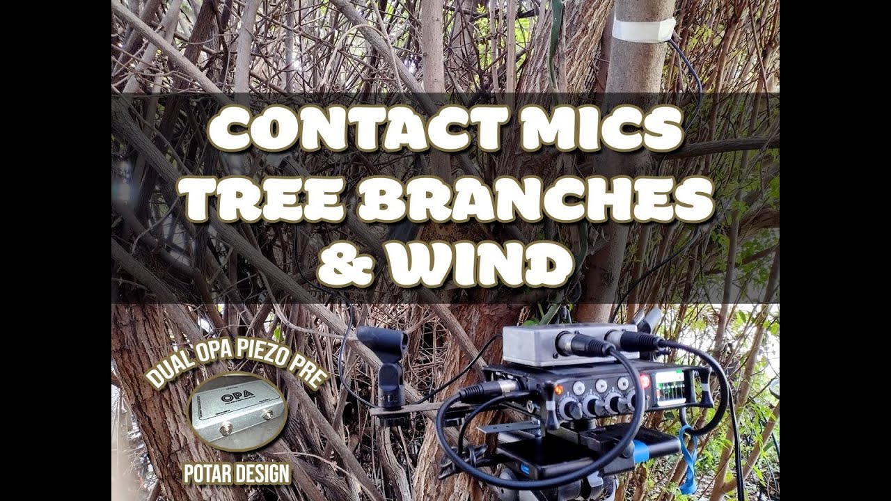 Tree Branches and Wind Recoded with Contact Mics and a Dual OPA ...