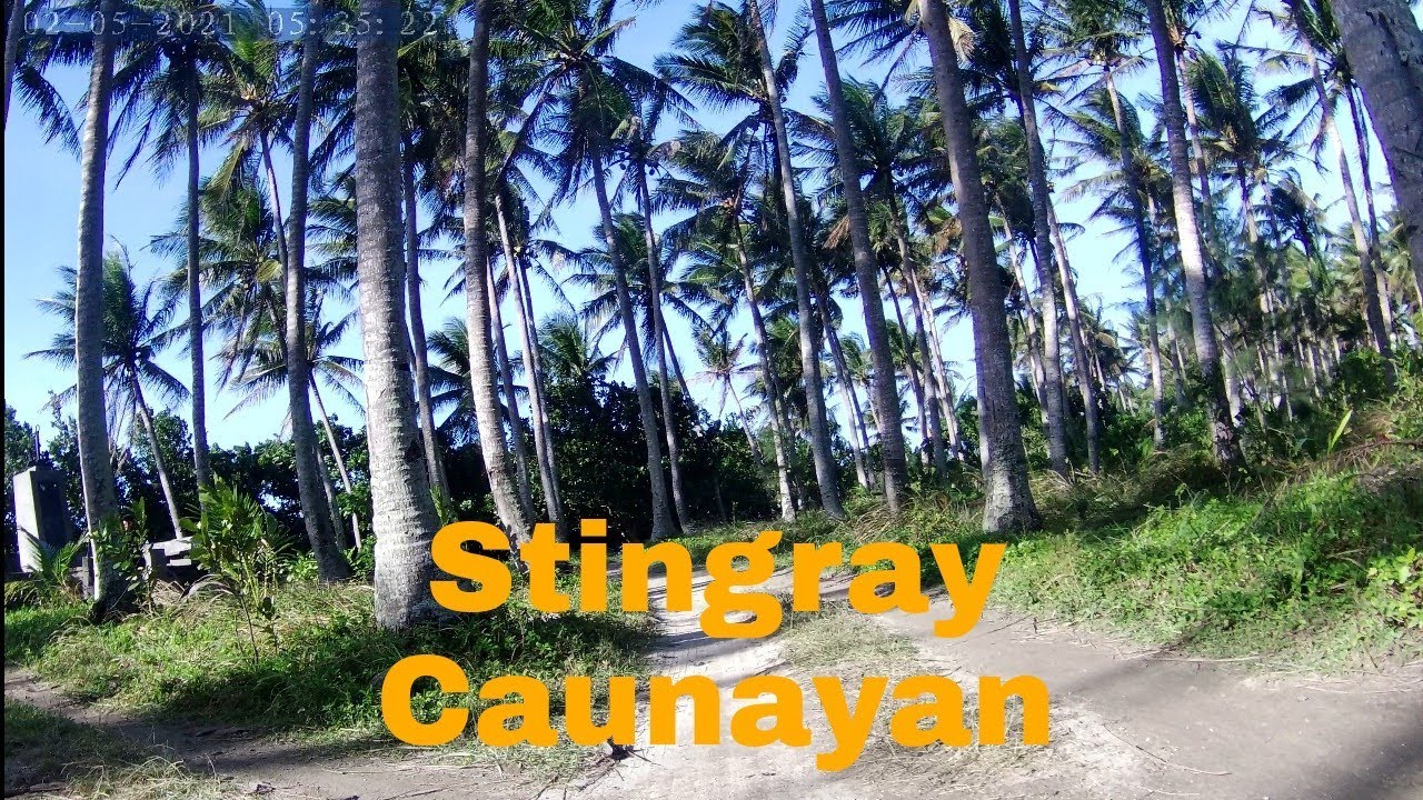 USS Stingray Submarine Memorial Marker, Caunayan, Pagudpud, Ilocos ...