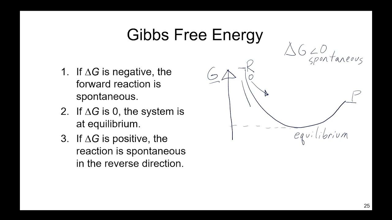 Gibbs Free Energy - YouTube