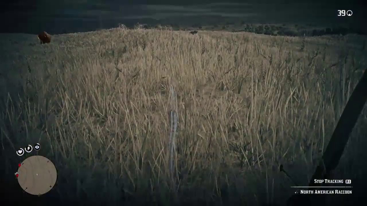 Rdr2 Animal Decomposition - YouTube
