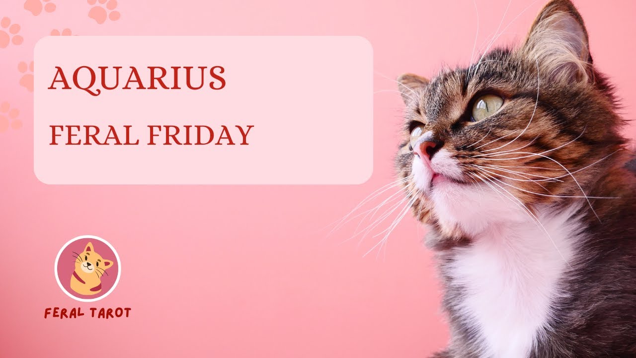 Aquarius Feral Friday - YouTube