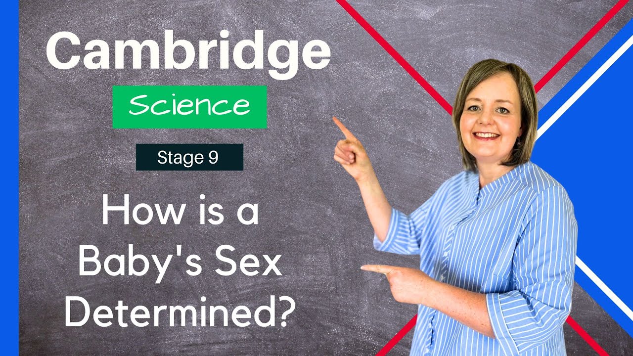 How is a Baby's Sex Determined? | Stage 9 Cambridge Integrated Science ...