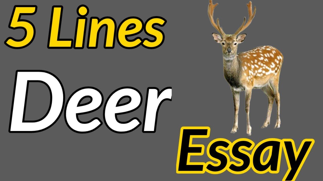 Essay on Deer in English 5 lines Essay | Deer |Short Essay by Essay ...