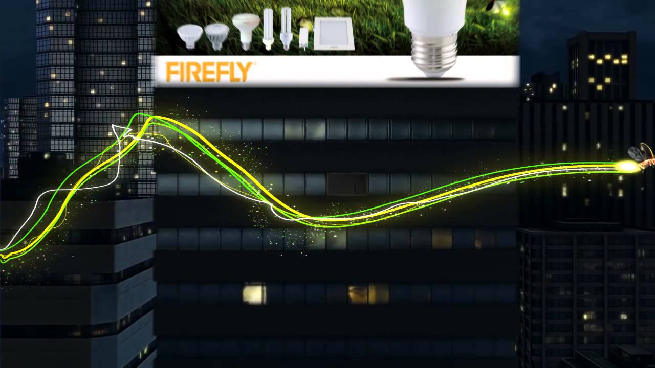 FIREFLY, KUWAIT - YouTube