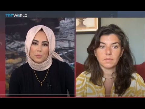 Chantal Meloni on Palestine: Impunity fosters violence - YouTube