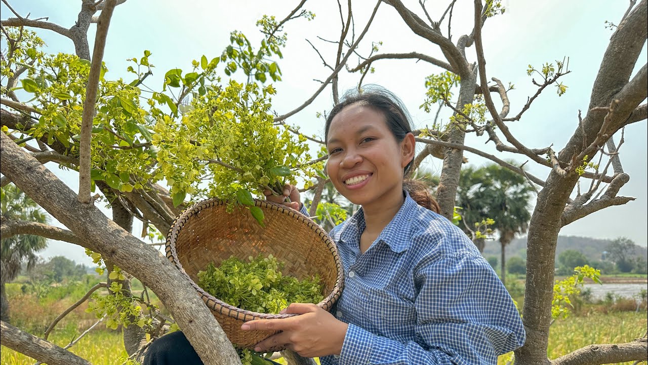 ជ្រក់ផ្កាថ្ងាន់ ត្រីអណ្តែងអាំង ឆម ស្រីផាច - Chhom Sreypach - YouTube