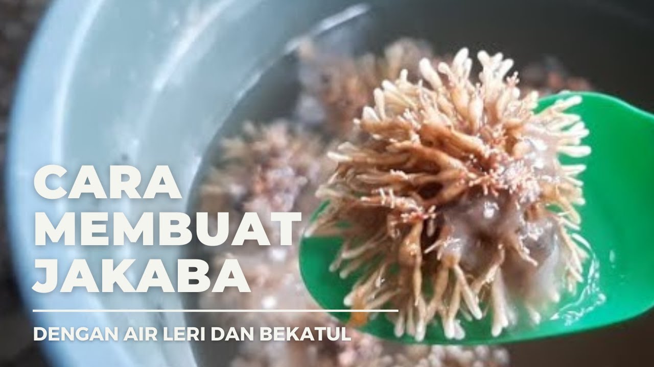 CARA MEMBUAT JAKABA DENGAN AIR LERI DAN BEKATUL - YouTube