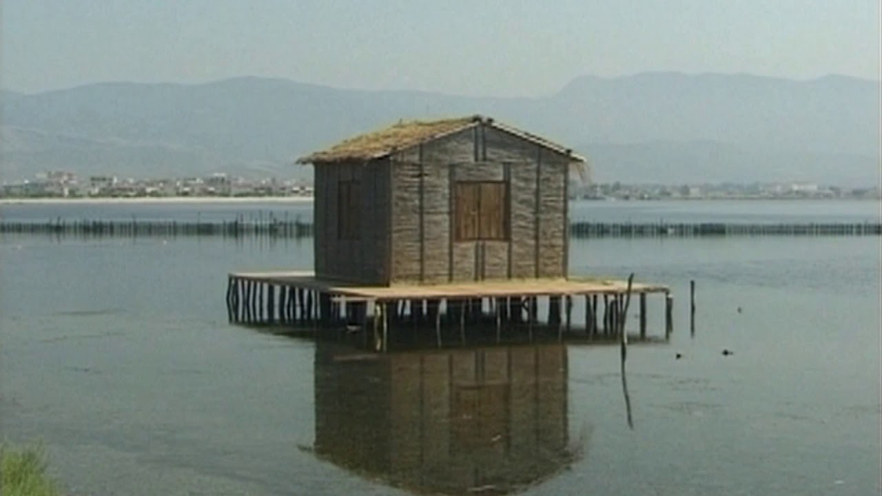 ΣΤΗ ΛΙΜΝΟΘΑΛΑΣΣΑ ΚΑΙ ΤΟΥΣ ΒΙΟΤΟΠΟΥΣ ΜΕΣΟΛΟΓΓΙΟΥ - YouTube