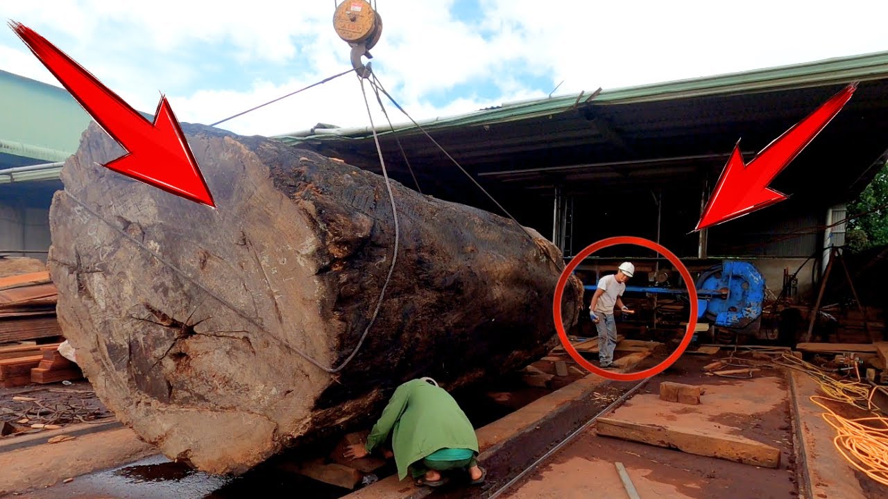 Worth $50,000 A giant log of wood is cut into a giant board by a ...
