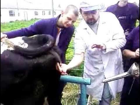 массаж клитора.3gp - YouTube