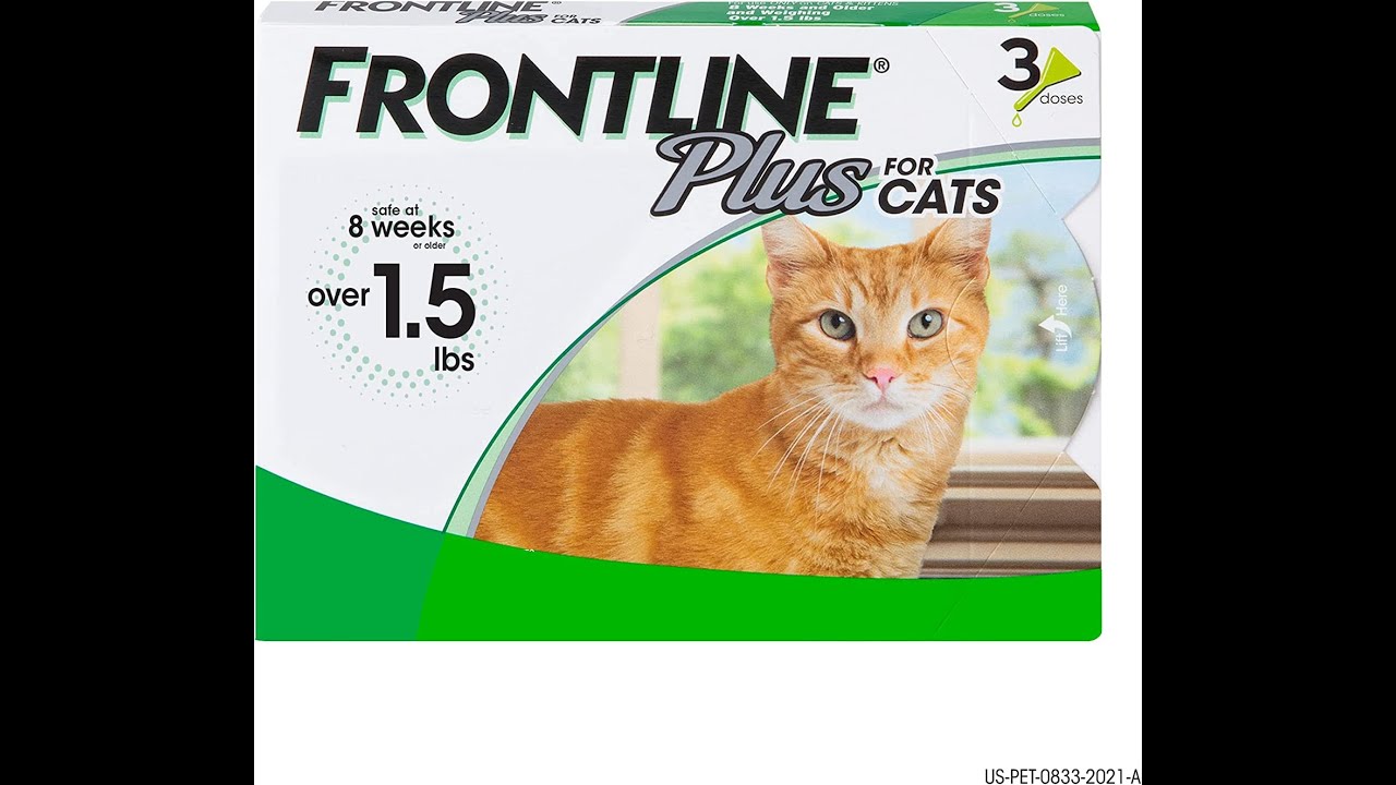 How to apply Frontline Plus for Cats - YouTube