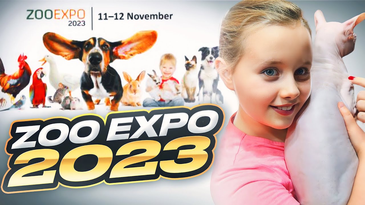 Zoo Expo 2023 - YouTube